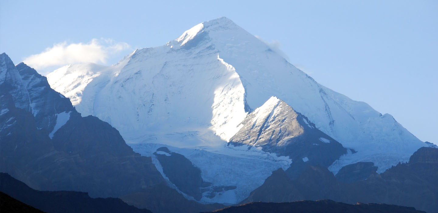 Wild Guanabana | Mount Nun